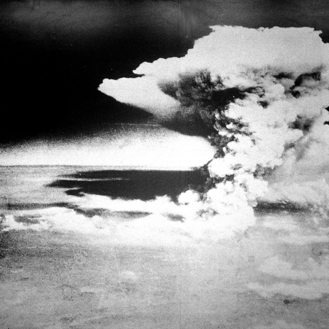 Fox Spirit gifts us with the “Snow Moon Flower” | Word Is Bond